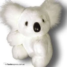 Shengo | Fireplace Fight Wiki | Fandom