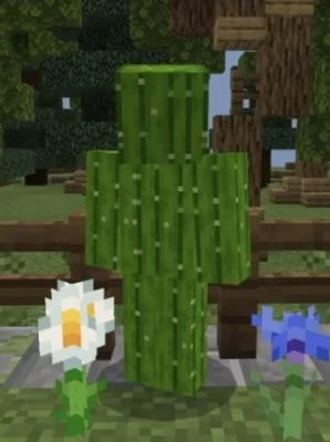 Lace | Fireskull's Minecraft Gameshows Wiki | Fandom