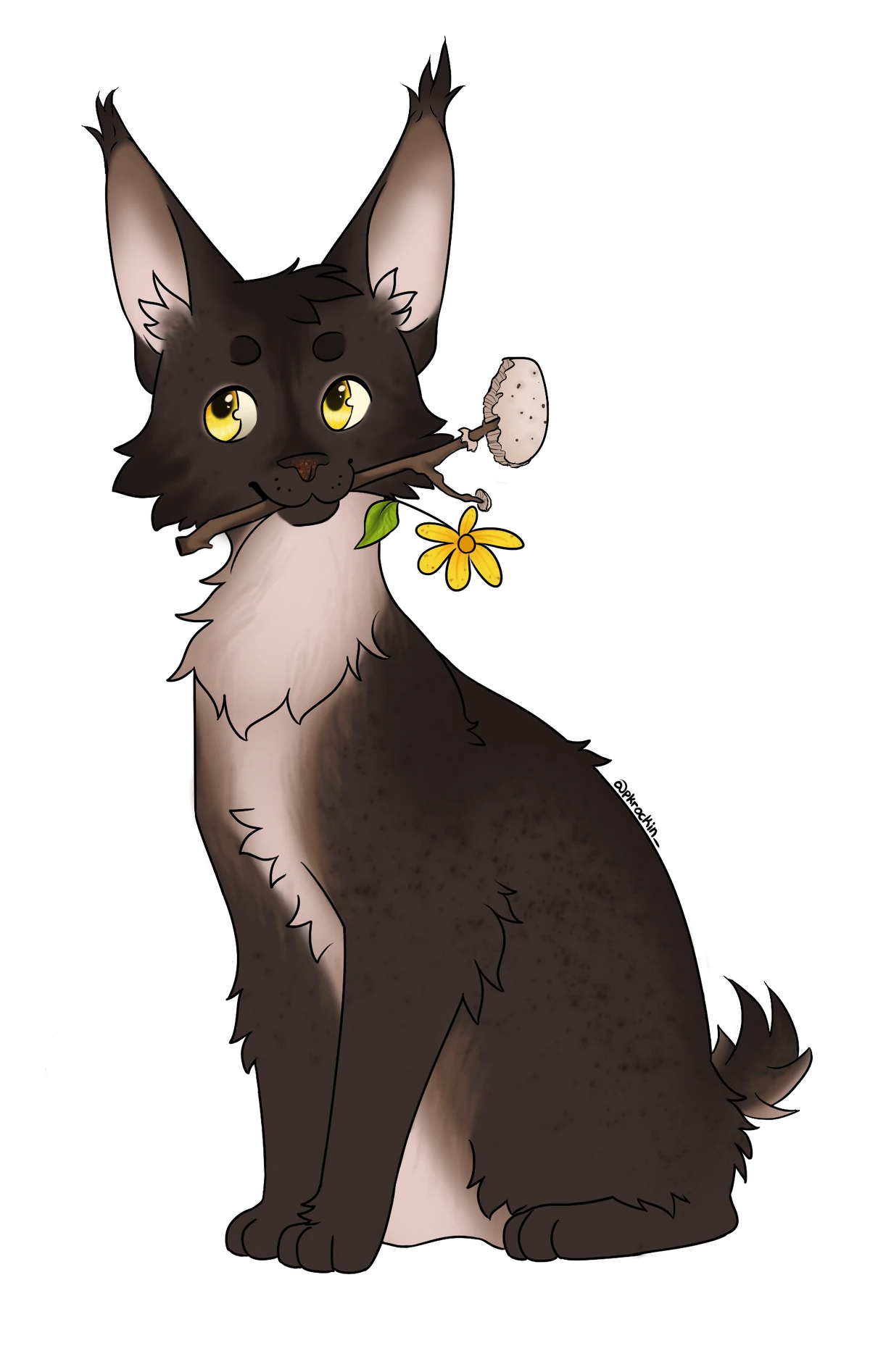 Toadpool | StarClan's Refuge Wiki | Fandom