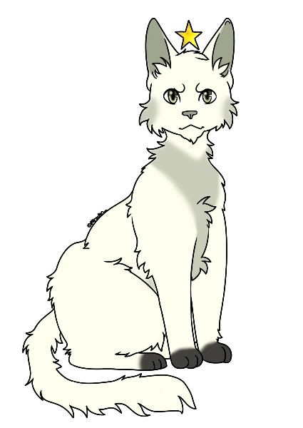 Cedarstar | StarClan's Refuge Wiki | Fandom