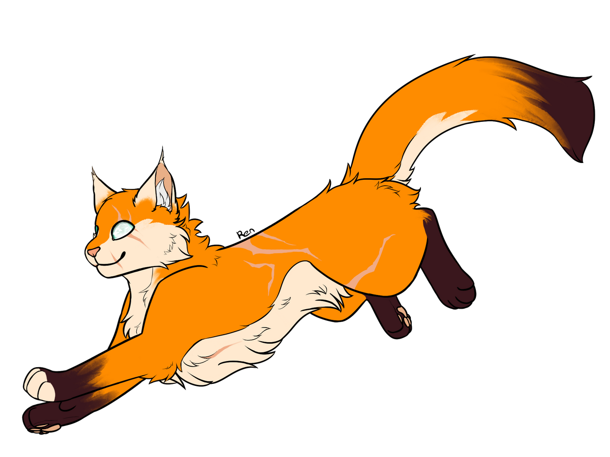 Lilystream Starclans Refuge Wiki Fandom