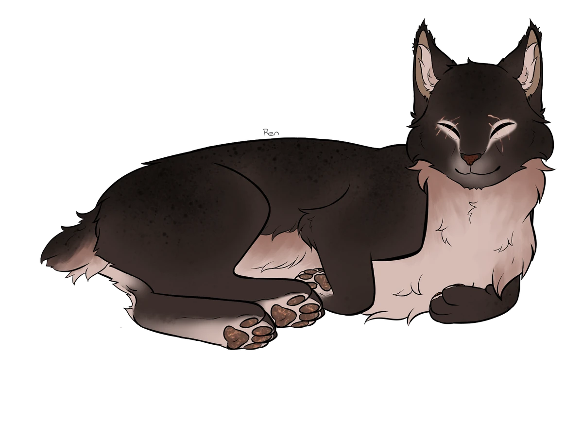 Toadpool | StarClan's Refuge Wiki | Fandom