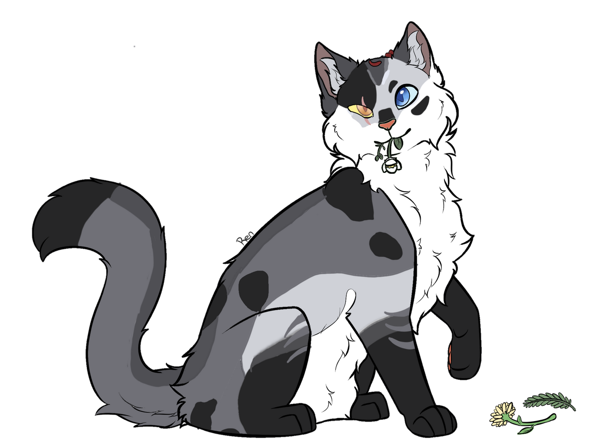 Sootpaw Starclans Refuge Wiki Fandom