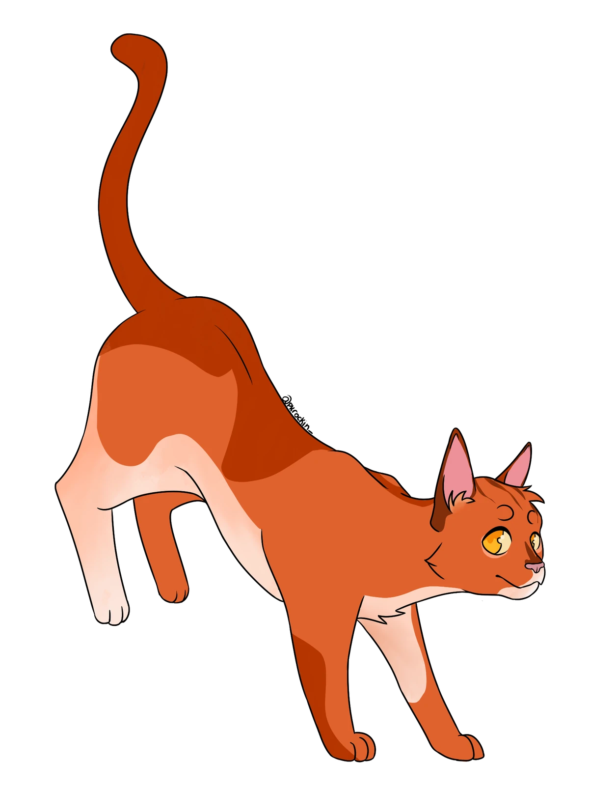 Riso | StarClan's Refuge Wiki | Fandom