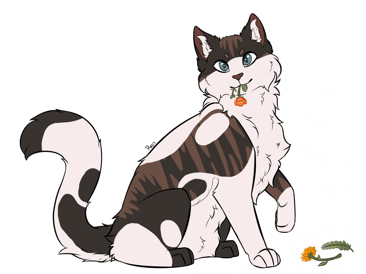 Ivypaw | StarClan's Refuge Wiki | Fandom