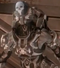 Skull | Fireteam Pegasus Wiki | Fandom