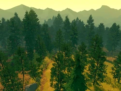 Пост Две Тропы | Firewatch Вики | Fandom