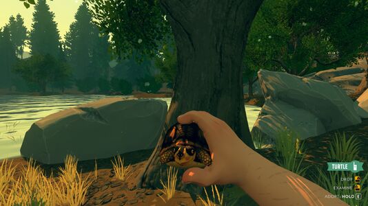 The Turtle - Firewatch Wiki