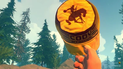 Hat - Firewatch Wiki
