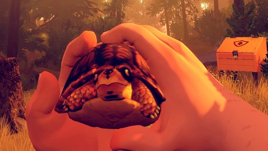 The Turtle - Firewatch Wiki