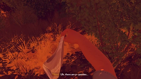 Underwear - Firewatch Wiki