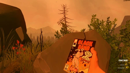 Comic Book - Firewatch Wiki