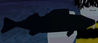Walleye | Fisch Wiki | Fandom