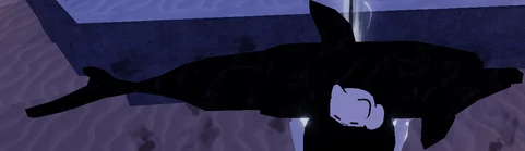 Dolphin | Fisch Wiki | Fandom