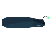 Insect | Fisch Wiki | Fandom