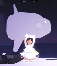 Sunfish | Fisch Wiki | Fandom