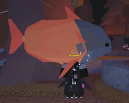 Moonfish | Fisch Wiki | Fandom