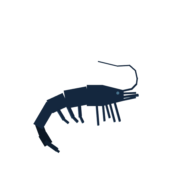 Night Shrimp | Fisch Wiki | Fandom