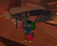 Blisterback Blenny | Fisch Wiki | Fandom