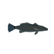 Insect | Fisch Wiki | Fandom