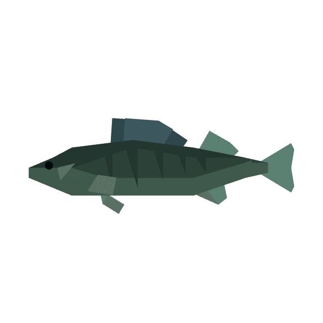 Walleye | Fisch Wiki | Fandom