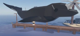 Beluga | Fisch Wiki | Fandom