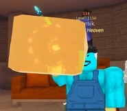 Cathulith | Fisch Wiki | Fandom