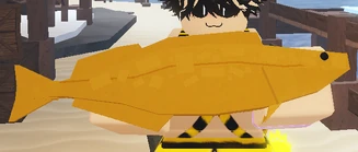 Lingcod | Fisch Wiki | Fandom