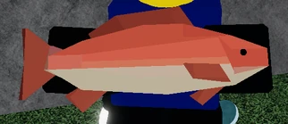 Red Snapper | Fisch Wiki | Fandom