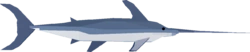 Swordfish | Fisch Wiki | Fandom