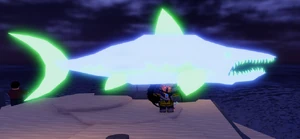 Helicoprion | Fisch Wiki | Fandom