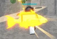 Reef Parrotfish | Fisch Wiki | Fandom