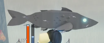 Icebreaker Haddock | Fisch Wiki | Fandom