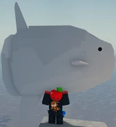 Sunfish | Fisch Wiki | Fandom