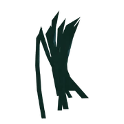 Magnet | Fisch Wiki | Fandom