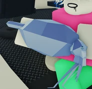 Cockatoo Squid | Fisch Wiki | Fandom