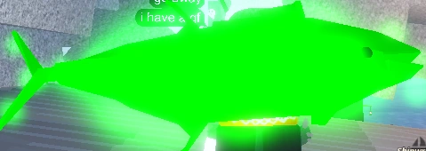 Yellowfin Tuna | Fisch Wiki | Fandom