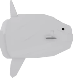 Sunfish | Fisch Wiki | Fandom