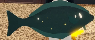 Halibut | Fisch Wiki | Fandom