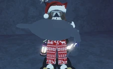 Cockatoo Squid | Fisch Wiki | Fandom