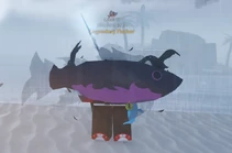 Crystal Wrasse | Fisch Wiki | Fandom