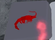 Shrimp (Fish) | Fisch Wiki | Fandom