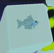 Glassfish | Fisch Wiki | Fandom