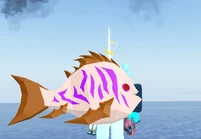 Coral Chromis | Fisch Wiki | Fandom