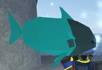 Moonfish | Fisch Wiki | Fandom