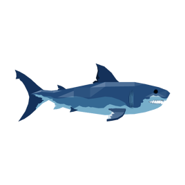 Ginsu Shark | Fisch Wiki | Fandom