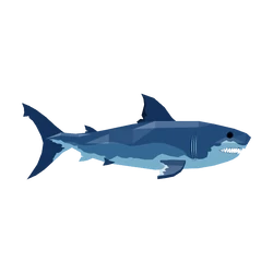 All Types Of Sharks In Fisch