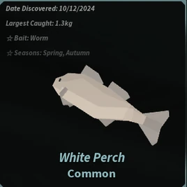 White Perch | Fisch Wiki | Fandom