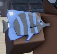 Butterflyfish | Fisch Wiki | Fandom