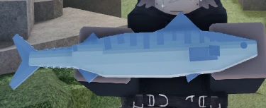 Mackerel | Fisch Wiki | Fandom